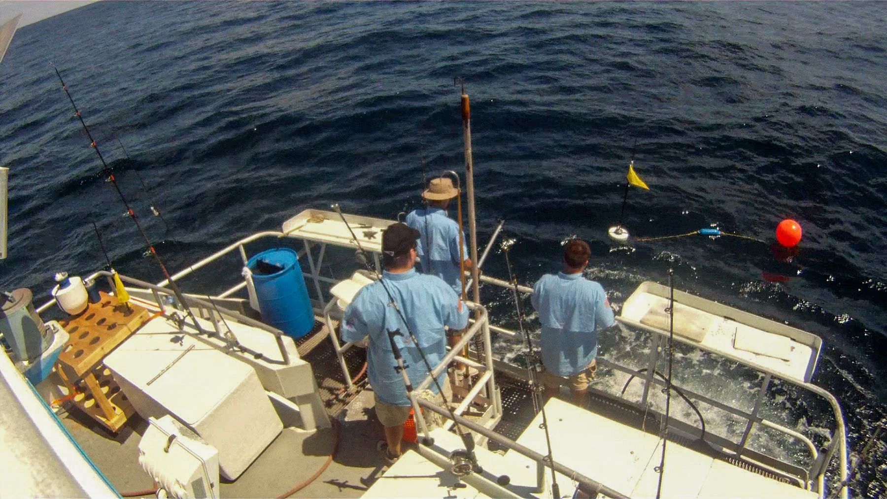 Who We Are | Trident Research