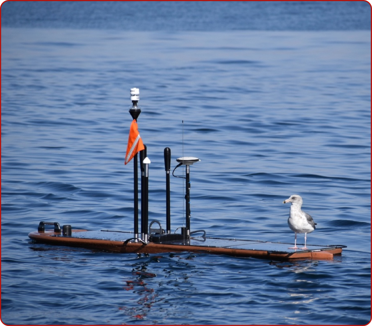 What We Do | Trident Research